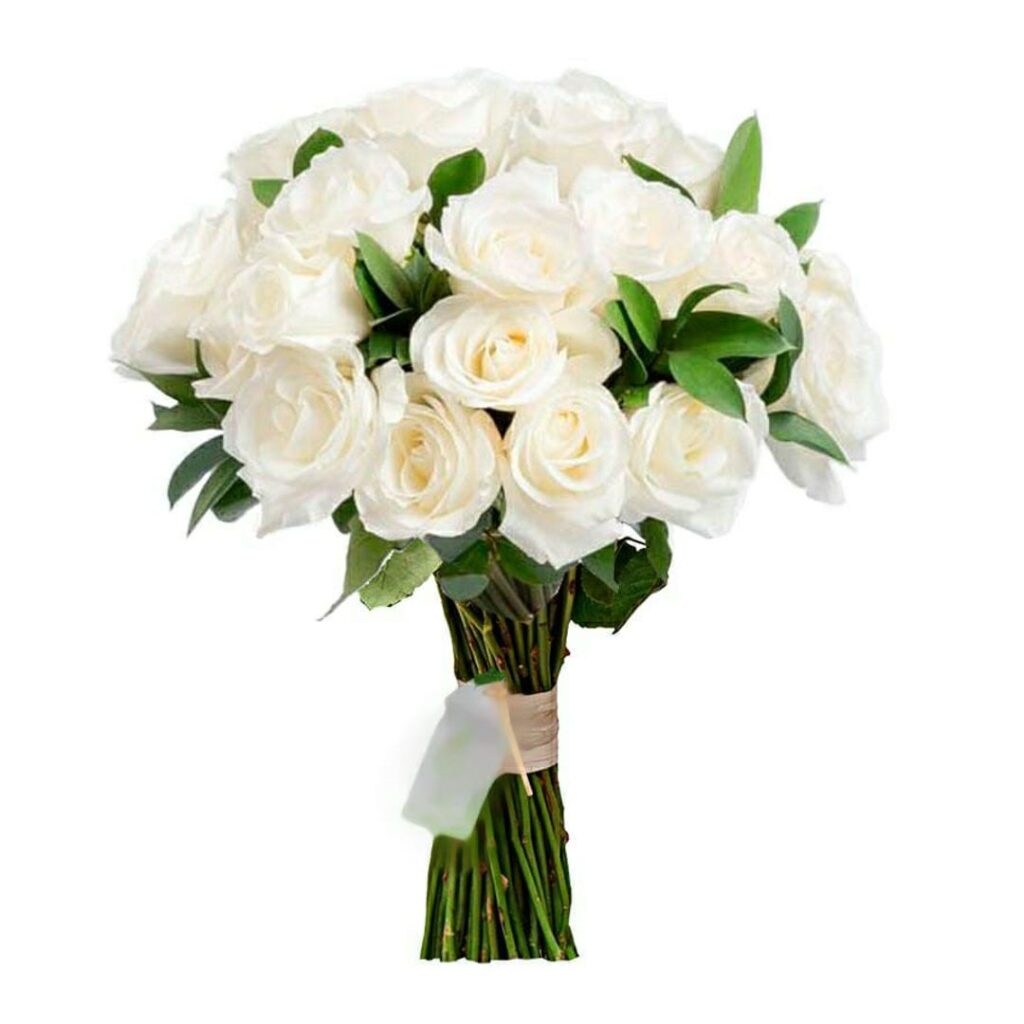 Buquê com 24 Rosas Brancas – Doce Magia Flores